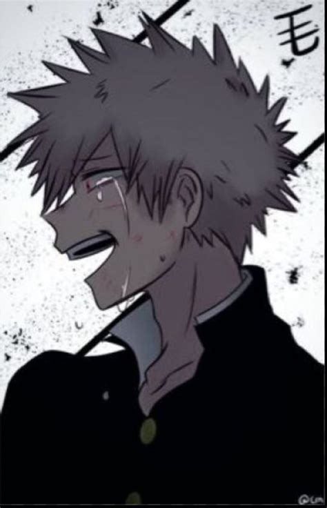 Hanahaki Bakugou My Hero Academia Amino