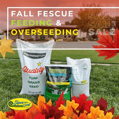 Monthly Lawn Tips For Tall Fescue Lawns Fall Lawn Care