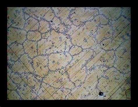 Show The As Cast Microstructure Of Hadfield Austenitic Manganese Steel Download Scientific