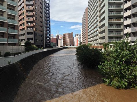 2014年10月6日の台風18号で増水した町田・境橋から見た境川の写真 Hinemosu