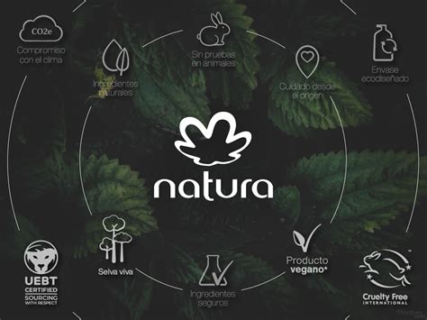 Empresa Natura Natura de México