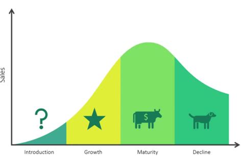 Cash Cow A Complete Guide On Cash Cow With Example