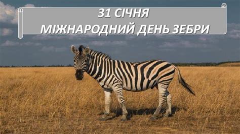 Презентація "Образотворче мистецтво. Зебра"