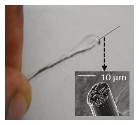 Image Presenting The Unmodified Carbon Fiber Microelectrode Inset
