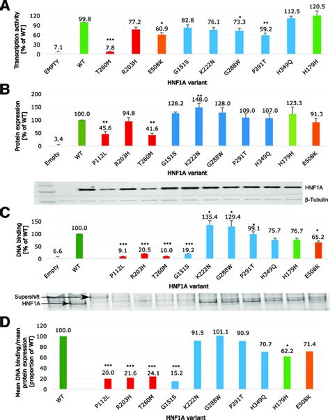 Functional Assessment Of Previously Uncharacterized Hnf1a Allele