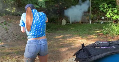 How Powerful Are Firebird Targets Firebird Targets