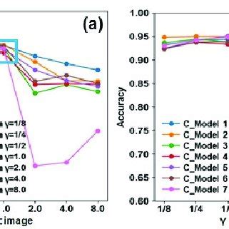 Image Segmentation Accuracy Of Models Using Dark Test Image That Has