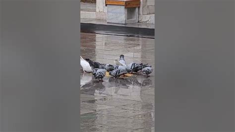 مناجاتی عاشقانه برای تنهاترین و دوست ترین یار که عشق او از اعماق قلبم سرچشمه می گیرد Youtube