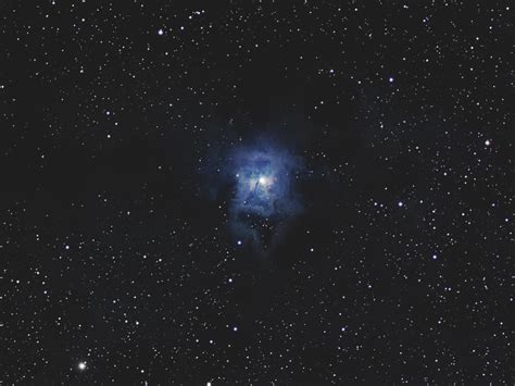 Ngc7023 The Iris Nebula Imaging Deep Sky Stargazers Lounge