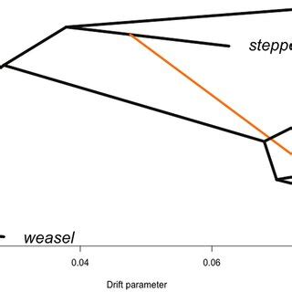 TreeMix Phylogeny Showing The Optimum Number Of Migration Edges 2 Download Scientific