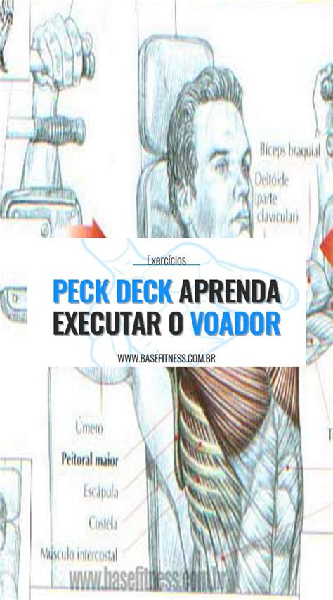 Voador Peck Deck Fly Execu O Correta E M Sculos Trabalhados M Sculos P S Treino