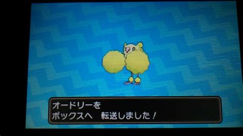 名前日記〜メレメレの花園〈ポケットモンスタームーン〉 Syokos Diary