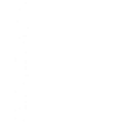 ServiceNow Implementation ECS