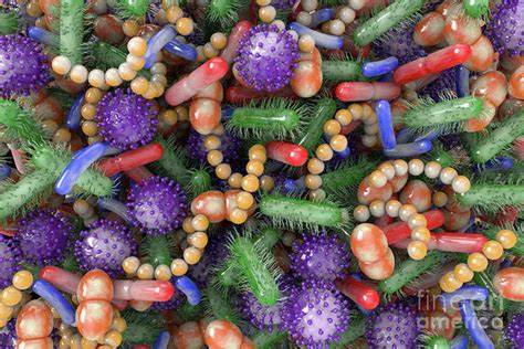 Microbiome Wall Art For Sale By Science Photo Library