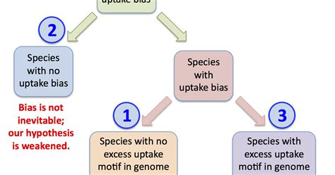 Rrresearch More On The Nserc Proposal