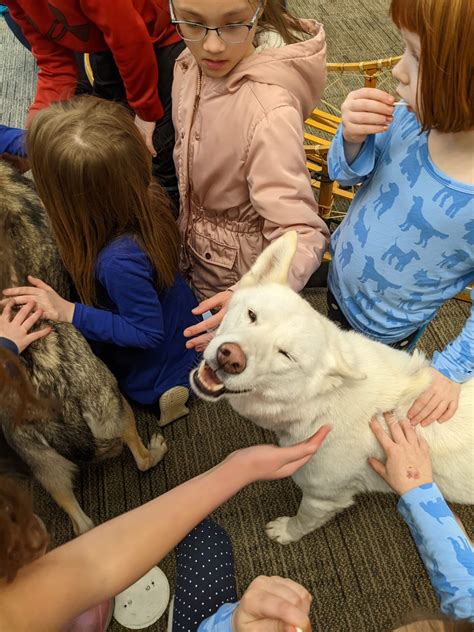 Youth Services Friends Of The Orchard Park Public Library
