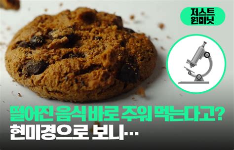 떨어진 음식 바로 주워 먹는다고 현미경으로 보니··· Kollo