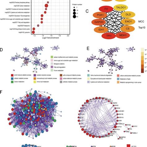 functional enrichment analysis of differentially quantified proteins