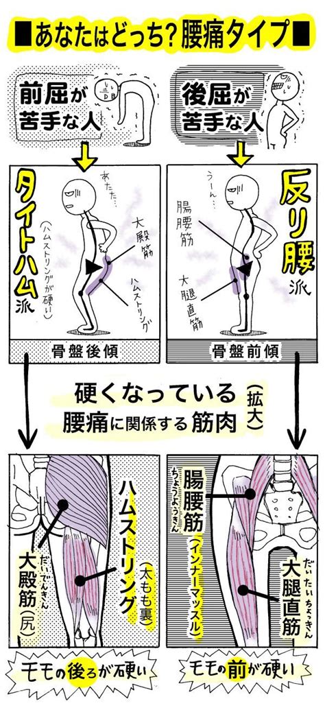 腰痛の新原因といわれるタイトハムをご存知でしょうかタイト硬くになったハムストリング太もも裏の筋肉という言葉の略でたけしの