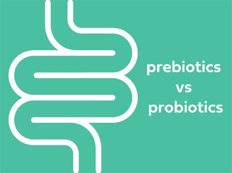 The Difference Between Probiotics And Prebiotics Aguulp