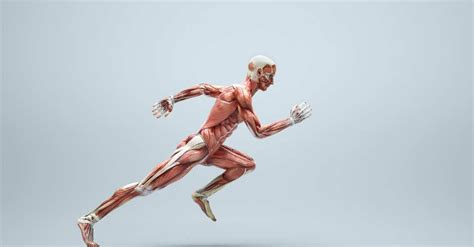 Longevity Breakthrough As Scientists Discover How To Reverse Aging In