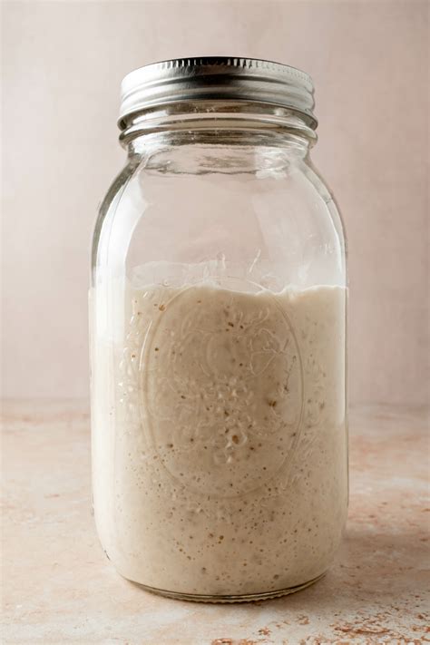 Easy Poolish Pizza Dough Whisked Away Kitchen