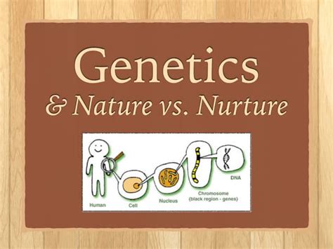 Genetics And Behavior Pdf