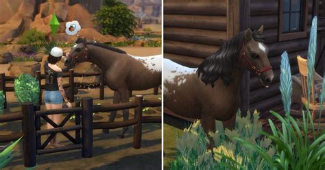 The Sims 4 Horse Ranch Review A Labor Of Western Love