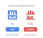 Sql Vs Nosql Key Differences You Should Know