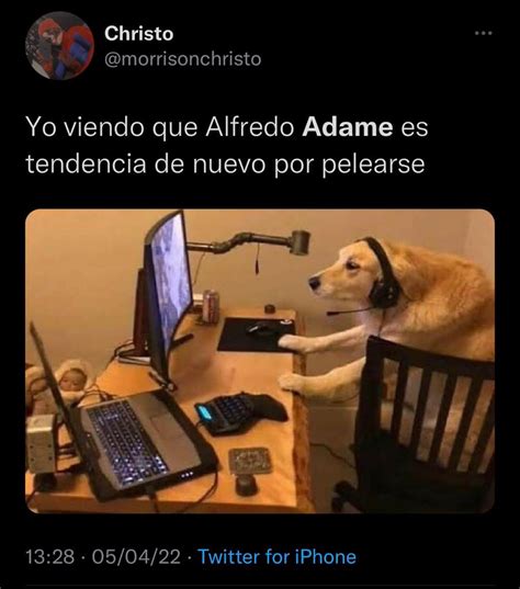 Los Mejores Memes Que Dejó La Caída De Alfredo Adame En Su Nueva Pelea