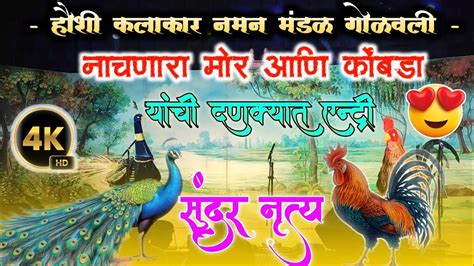 धमाकेदार Entry 👌💥 नाचणारा कोंबडा 🐓 आणि मोर 🦚 यांचे सुंदर नृत्य 😍 हौशी