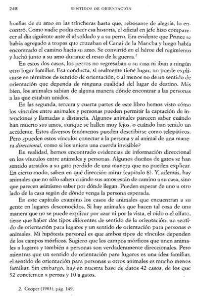 248 Sentidos De Orientaci