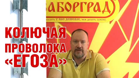 Колючая проволока егоза - YouTube