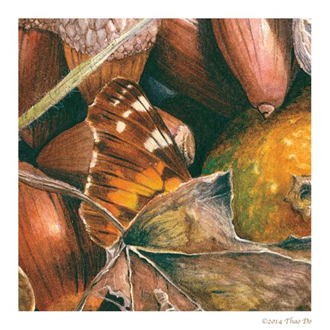 The Treasure Box On Behance