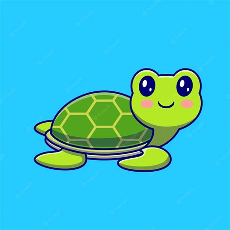 Turtle Quiz Drawing Shapes 7th 9th Grade Quiz Wayground