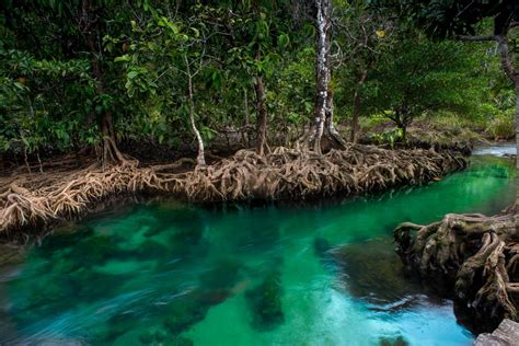 40 ที่เที่ยวกระบี่ จัดเต็มธรรมชาติจุใจ แวะวนไปทั้งในเมืองและนอกเมือง