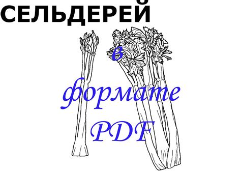 Раскраска Овощи 23 Составитель Душенкова Ю А скачать на Wildberries Цифровой 272091