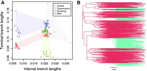 Forward Simulation Of Trees From Sir Model Branch Lengths Are In Units