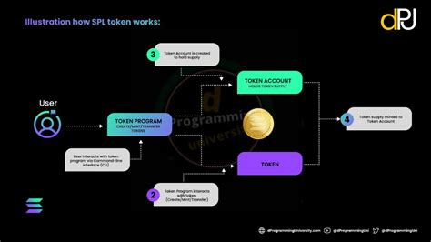 Ultimate Guide To Create Solana Spl Fungible Token Program In Solidity With Solang And Anchor