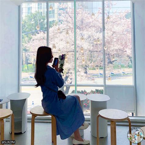 창원플래닛 진해 플릿서비스커피 지금 가면 만개한 벚꽃팝콘 볼 수 있는 카페 통유리로 보이는