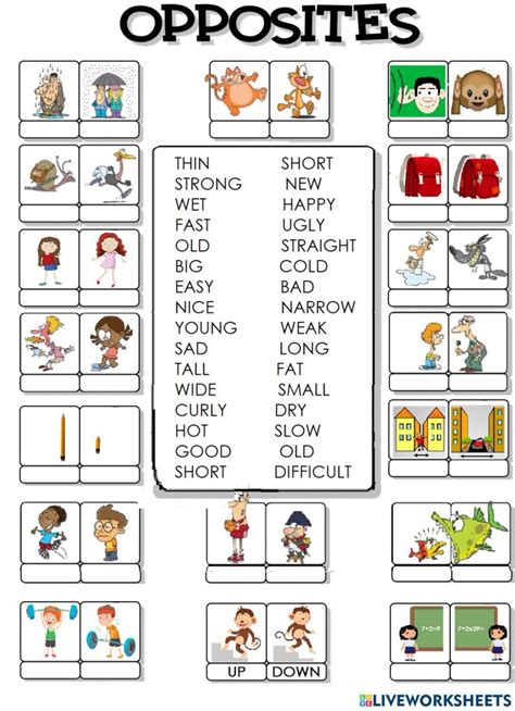 Opposites Online Exercise For SECOND GRADE Opposites Worksheet