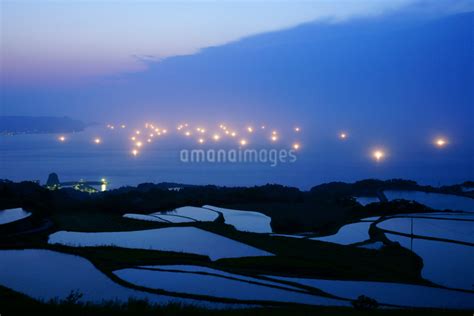 棚田と漁火の写真素材 FYI03225436 ストックフォトの Qlean Marketキュリンマーケット