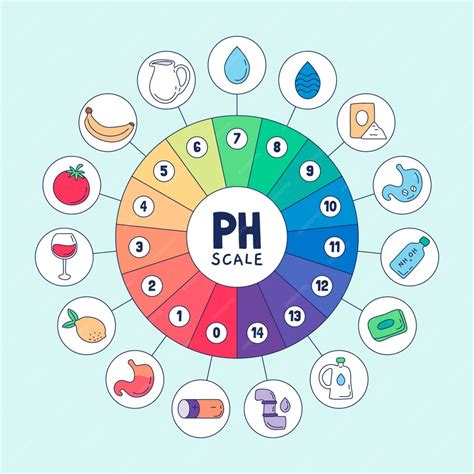 Premium Vector Hand Drawn Ph Scale Infographic