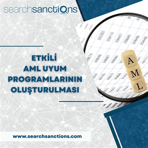 Establishing Effective Aml Compliance Programs Search Sanctions