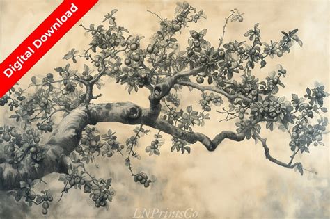 Fruit Tree Sketch Printable Art Etsy