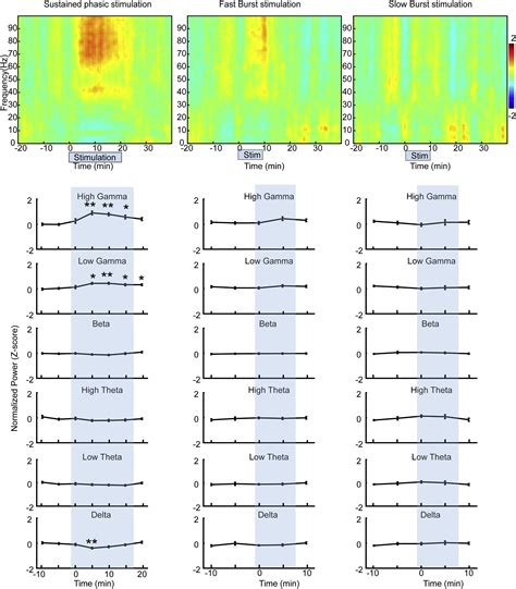 Dopamine Modulation Of Prefrontal Cortex Activity Is Manifold And Operates At Multiple Temporal