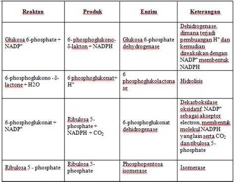 JALUR PENTOSA FOSFAT