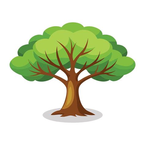 Peepal Tree Flat Illustration On White Background 47790963 Vector Art