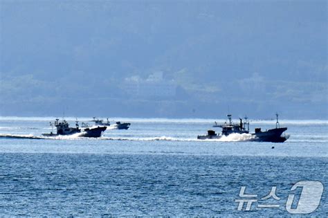 만선의 기쁨으로 뉴스1