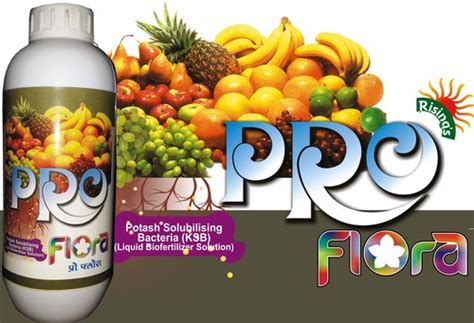 Liquid Bio Fertilizer At Best Price In Jalgaon Maharashtra Rising